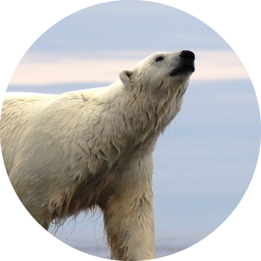AECO | Association of Arctic Expedition Cruise Operators